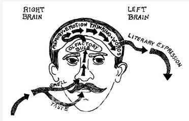 Marketing Usage of Proust Phenomenon